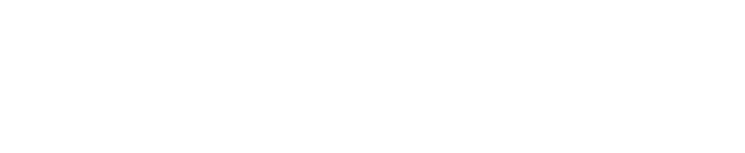 About FiberSense - FiberSense